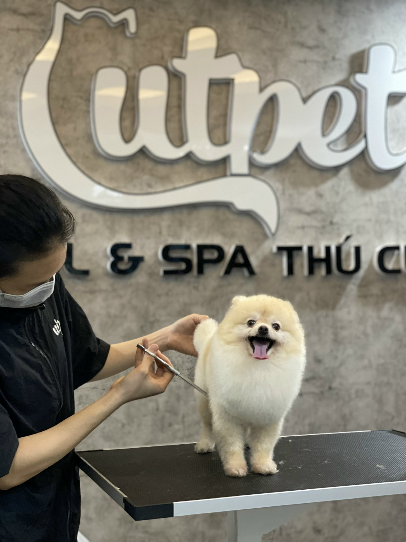 Giới thiệu – CUTPET