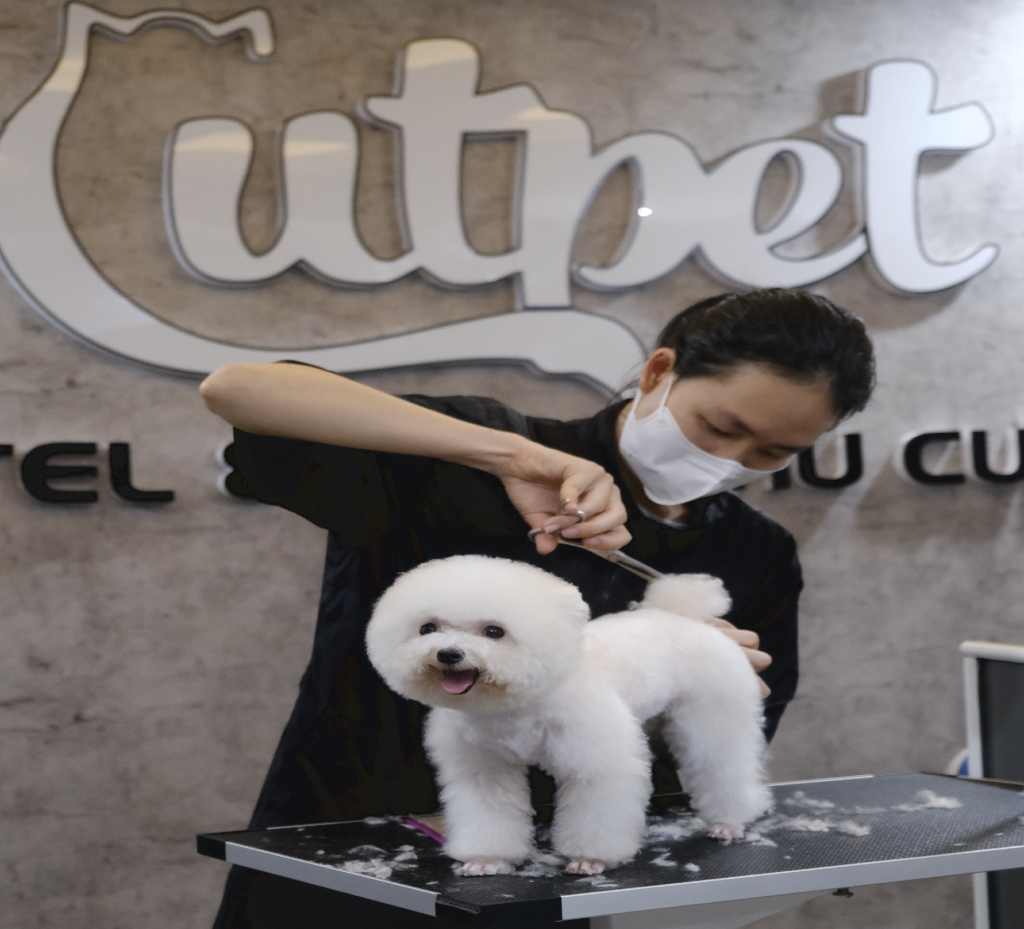 CUTPET