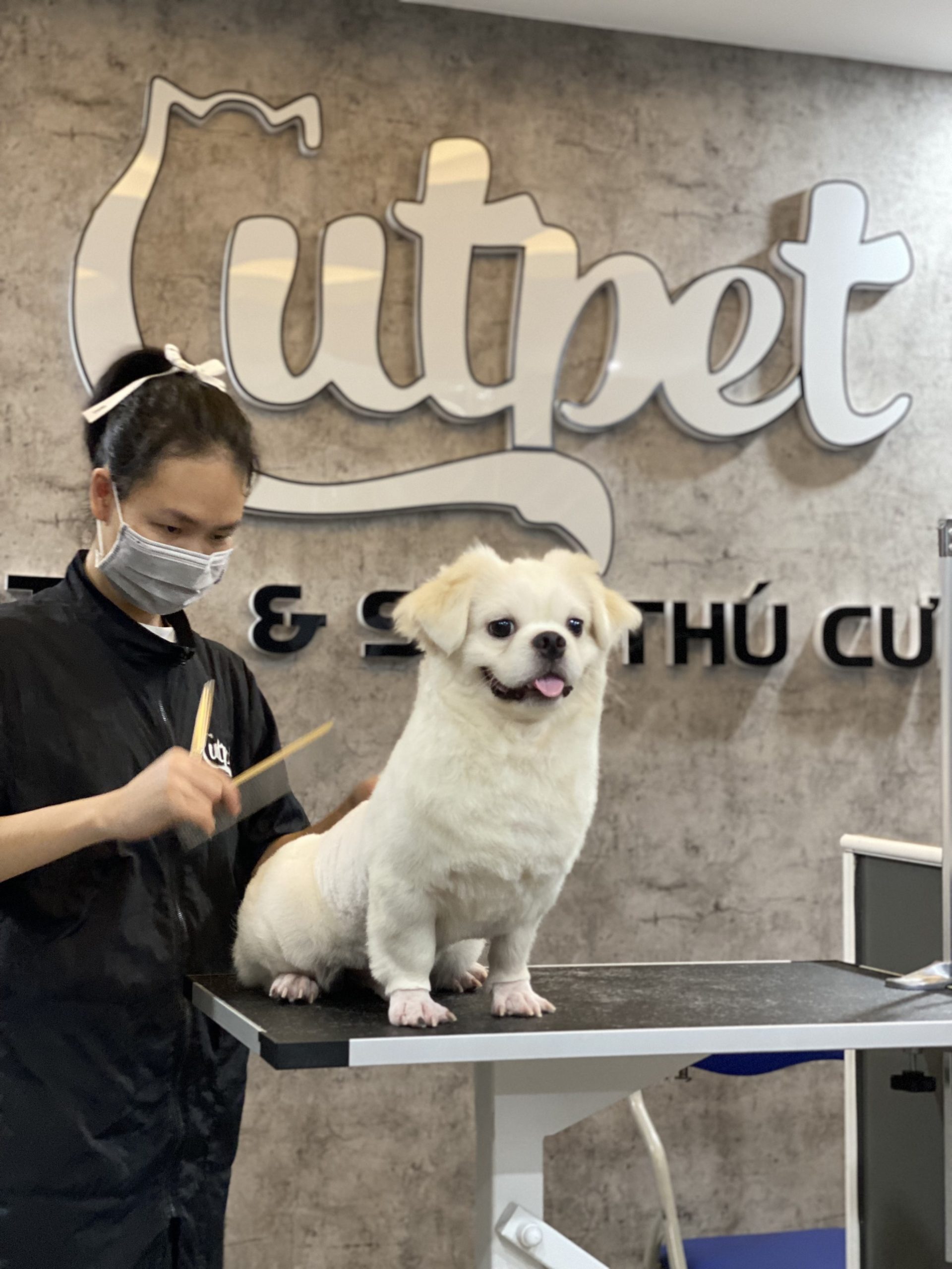 Giới thiệu – CUTPET